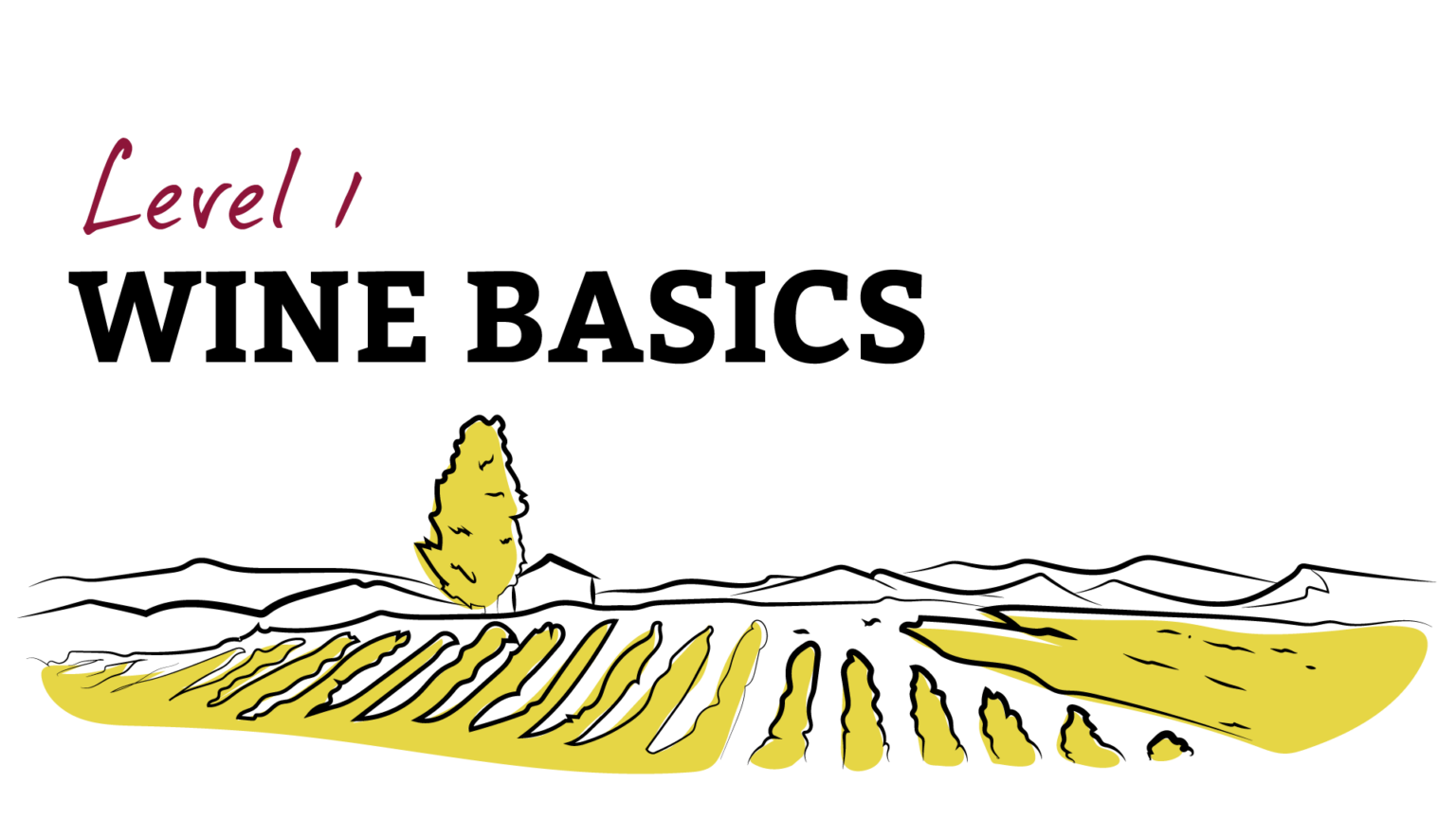 Level 1: Wine Basics – Wine Academy | EWGA Wines