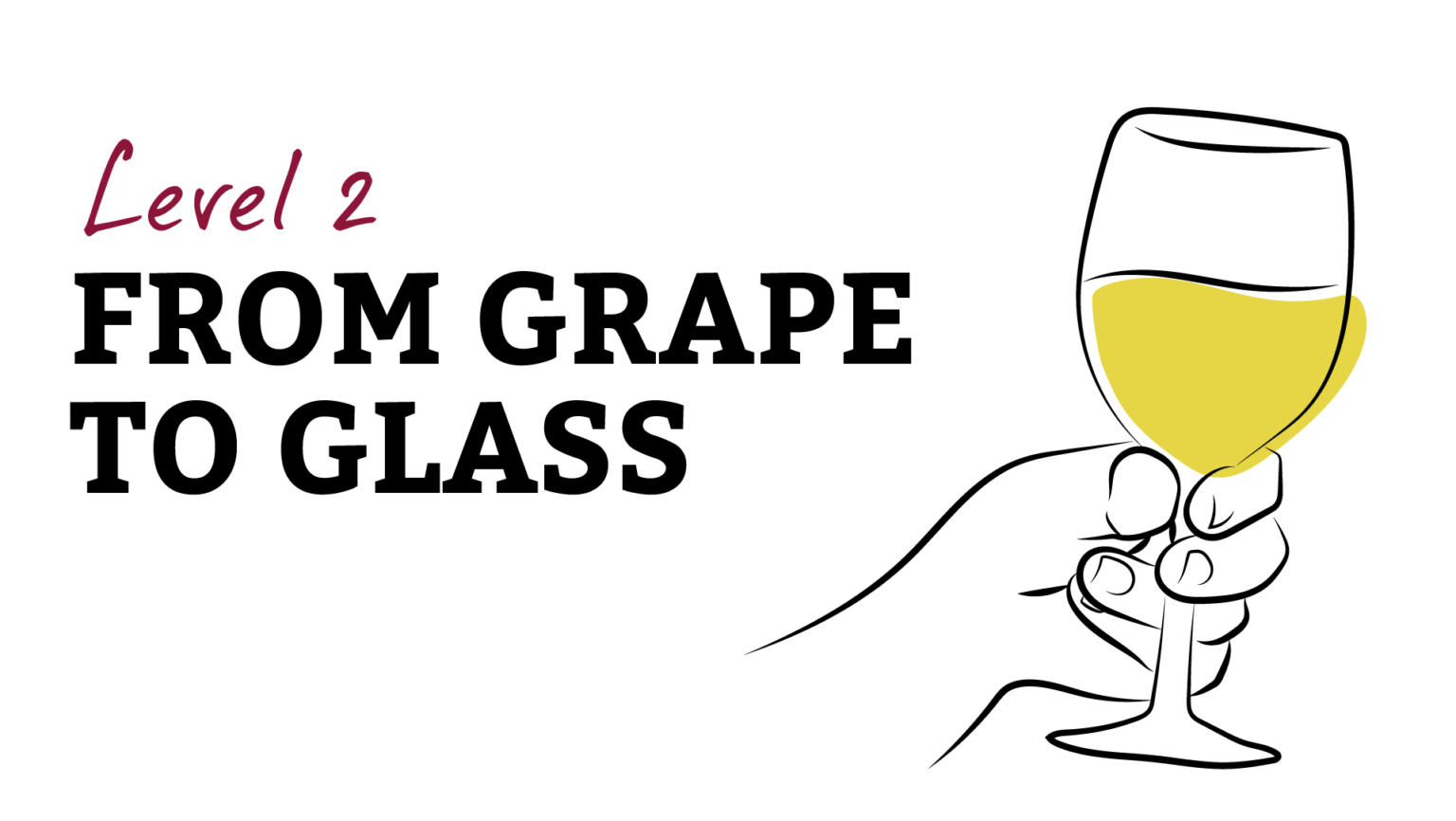 Level 2: From Grape to Glass – Wine Academy | EWGA Wines